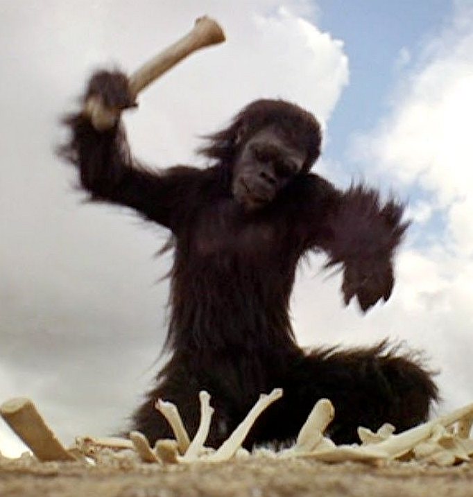 2001 bone club scene | A Niche in the Library of Babel